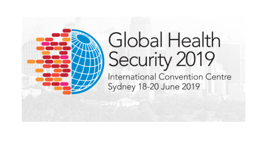 Global Health Security 2019